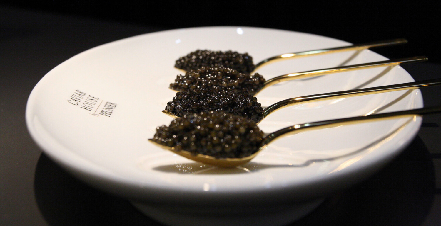 Broschüre & Film | Hotel Sackmann